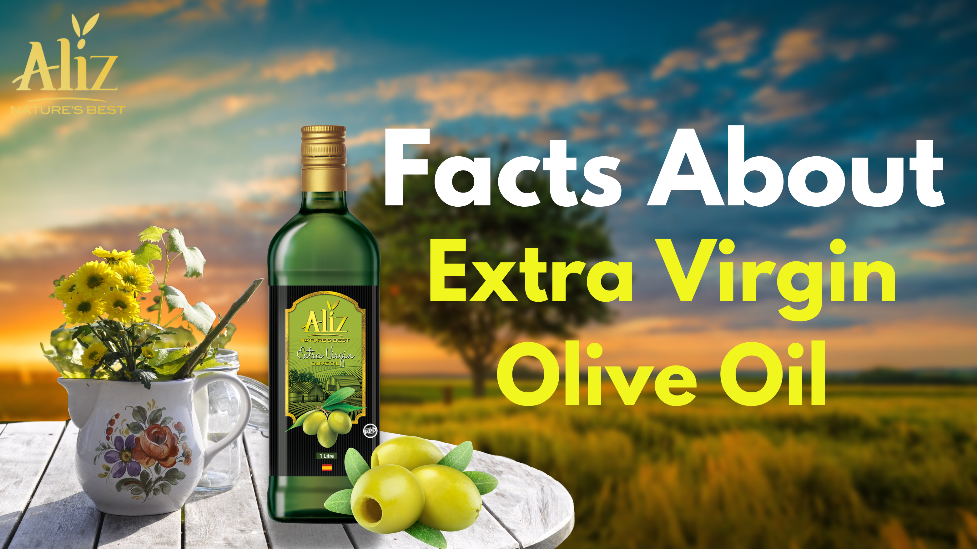 Facts about Olive Oil | Extra Virgin Olive Price | Buy Olive Oil – Aliz ...